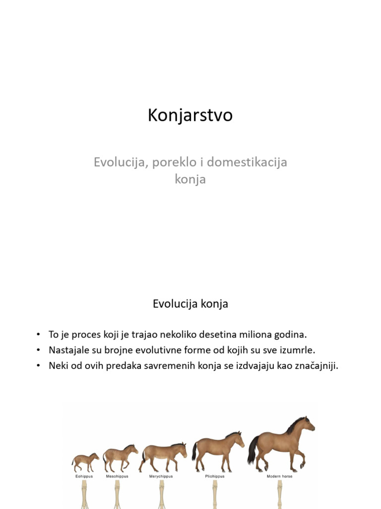 0002 Poreklo Konja | PDF