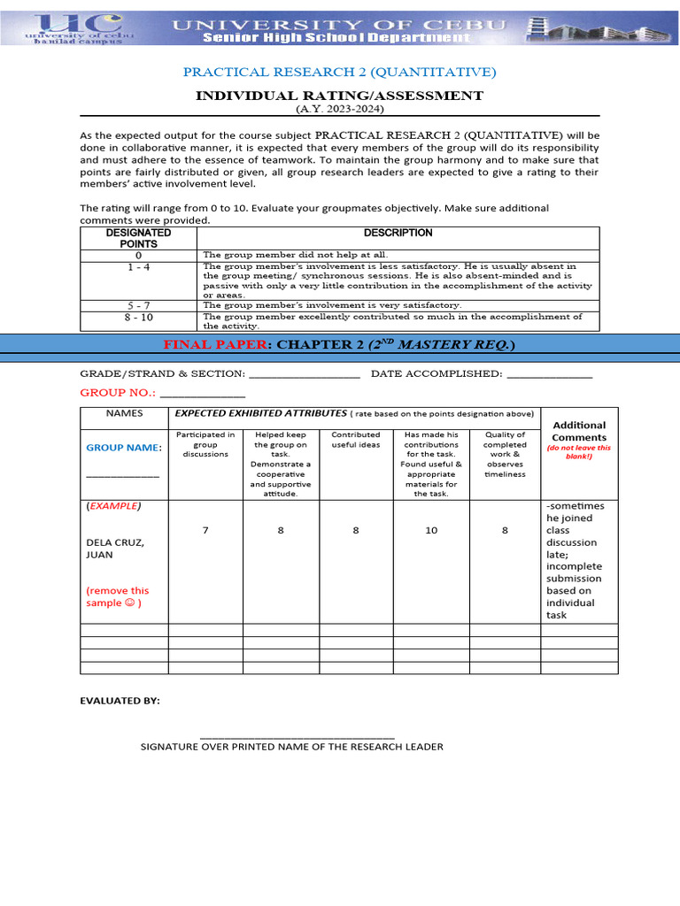 INDIVIDUAL - PEER RATING SHEET - (Final Paper) | PDF