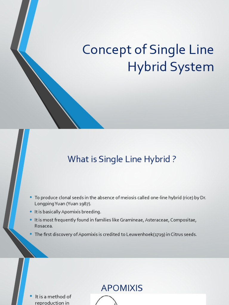 Understanding Single Line Hybrid Systems | PDF | Biological ...