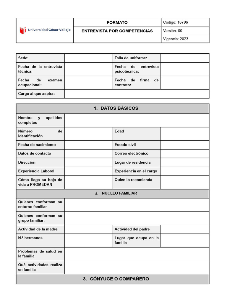 Entrevista Por Competencias - EJEMPLO | PDF