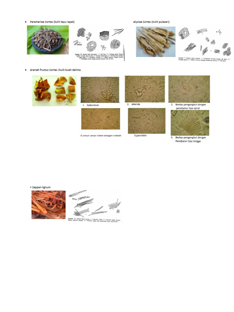 Gambar Uji KLT Pada Herba | PDF