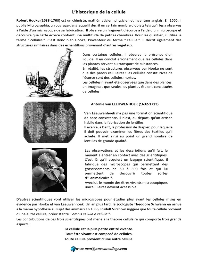 Histoire de la découverte de la cellule | PDF | Cellule (Biologie ...