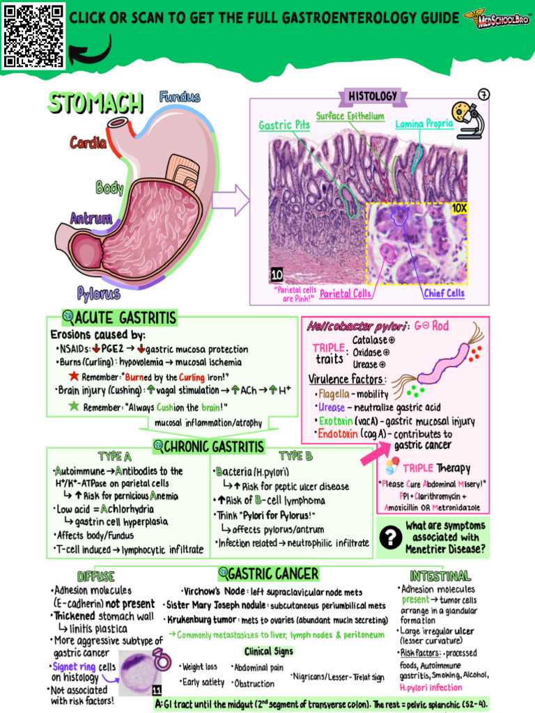 Complete Guide to Gastroenterology | PDF