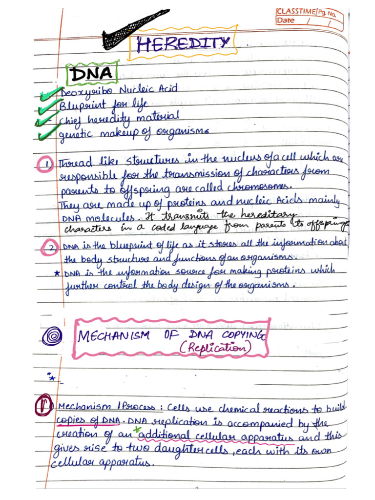 Heredity (Notes) | PDF