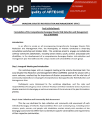 CBDRRM Plan Template | PDF | Politics | Science & Mathematics