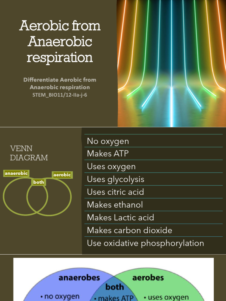 Aerobic Anaerobic Cellular Respiration and Its Stages | PDF