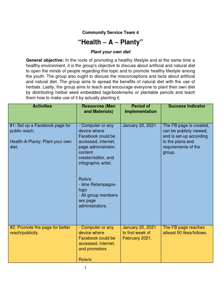 COMMUNITY SERVICE SAmple Plan 1 | PDF | Computing | Cyberspace