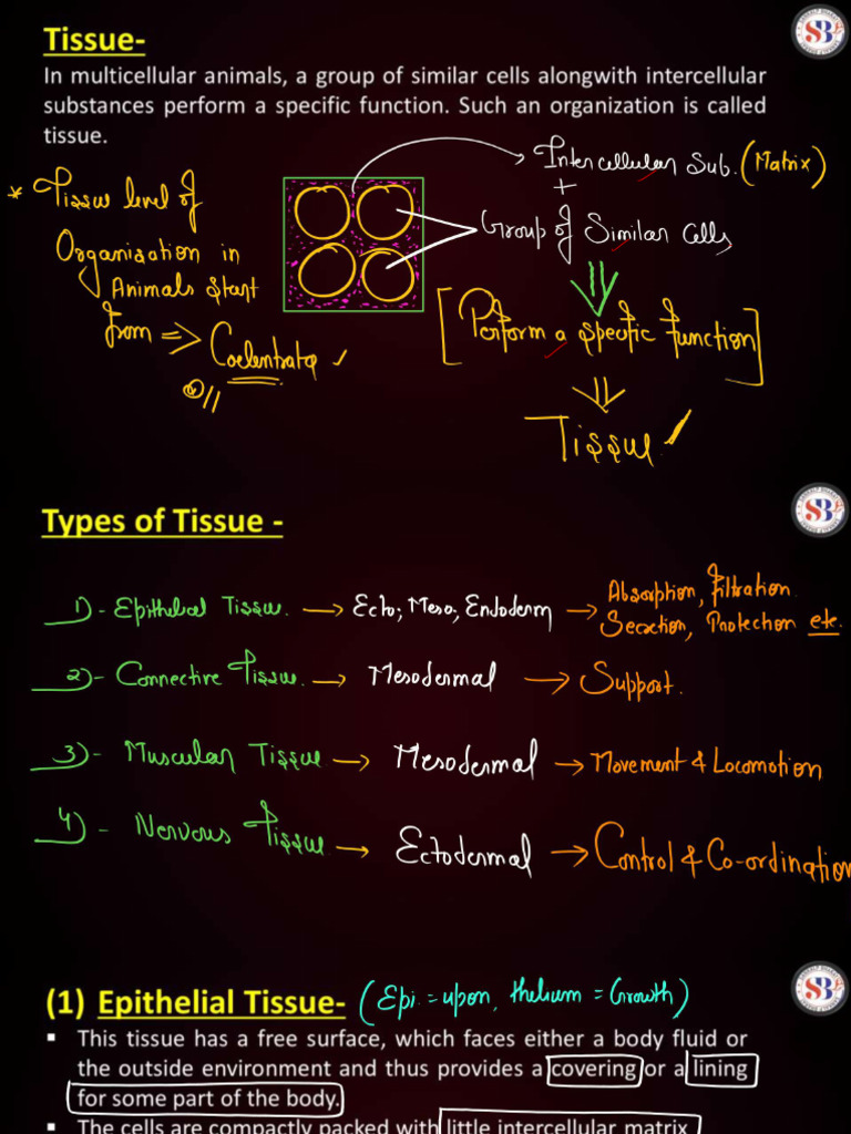 animal-tissue-notes-pdf