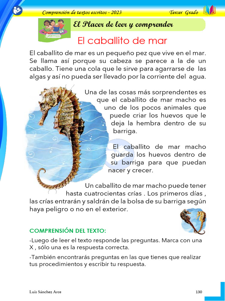 Información sobre el caballito de mar | PDF