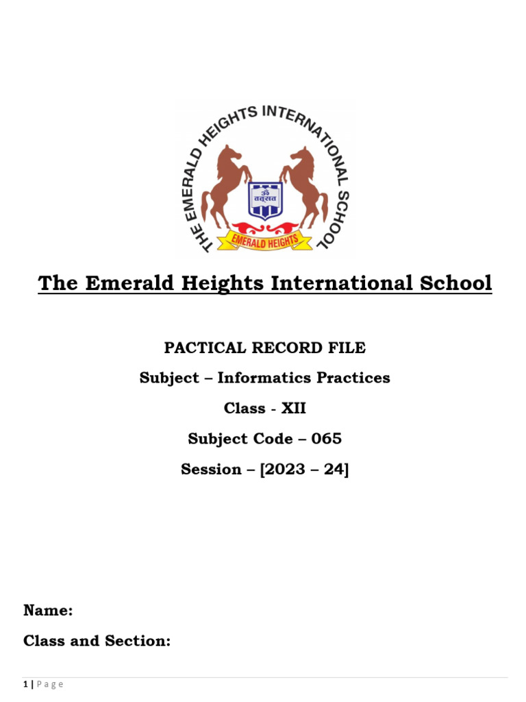 Questions Practical File | PDF | Database Index | Data Management