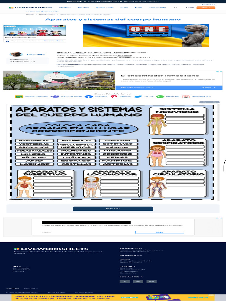 Aparatos Y Sistemas Del Cuerpo Humano Worksheet Pdf