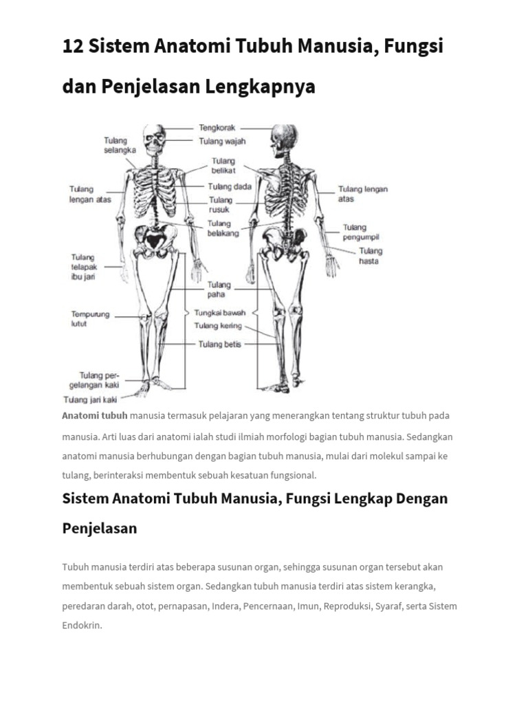 12 Sistem Anatomi Tubuh Manusia Lengkap | PDF | Kesehatan Holistik