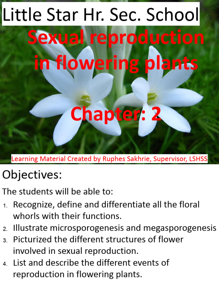 Biology CL 12 - Chapter 2. Sexual Reproduction in Flowering Plants ...