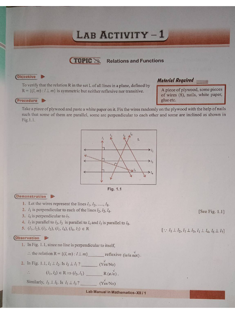 Class 12 Maths Activities | PDF