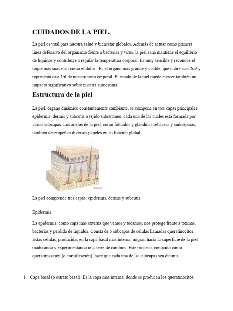Cuidados de La Piel | PDF | Piel | Epidermis