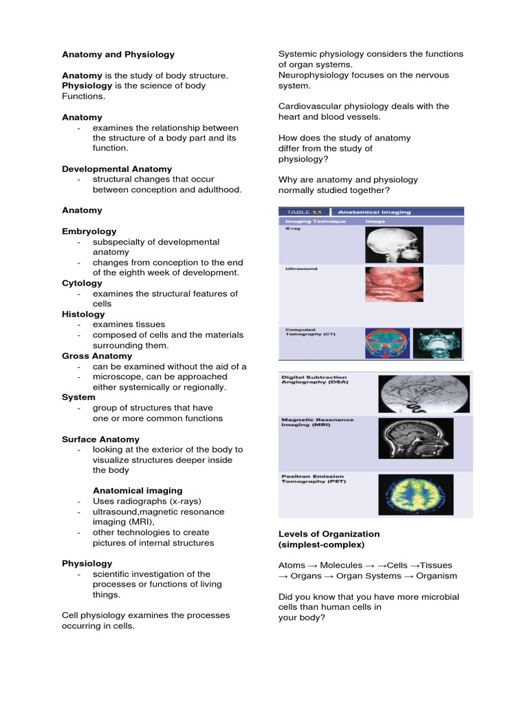 Anaphy Prelim Reviewer | PDF | Cell (Biology) | Cell Nucleus
