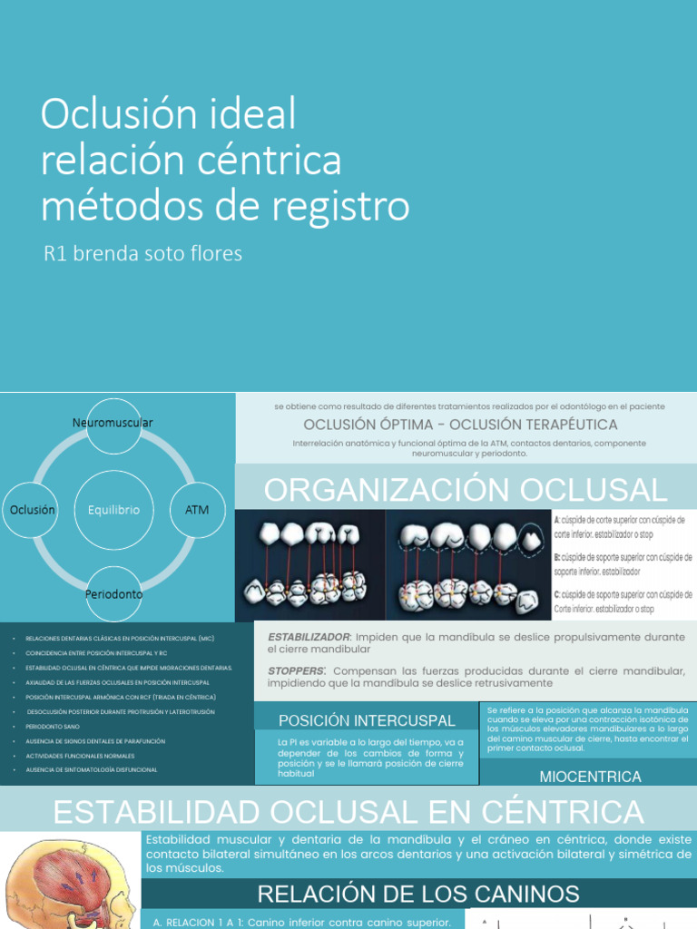Oclusión ideal | PDF | Odontología | Anatomía humana