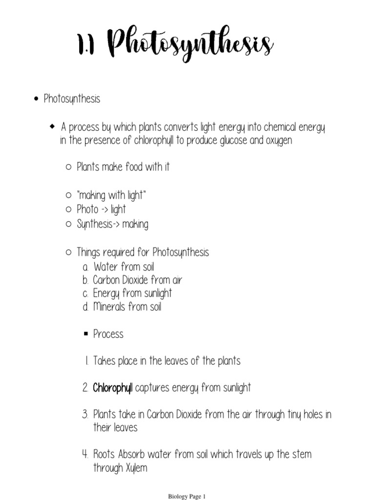 1.1 Photosynthesis | PDF | Photosynthesis | Plants