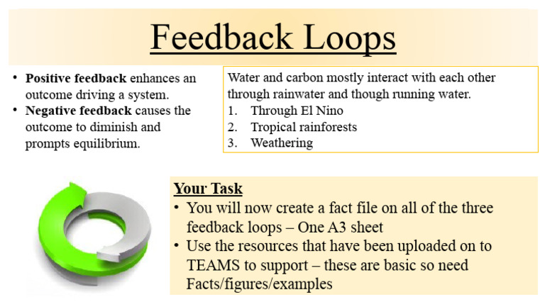 Feedback Loops A3 Task | PDF