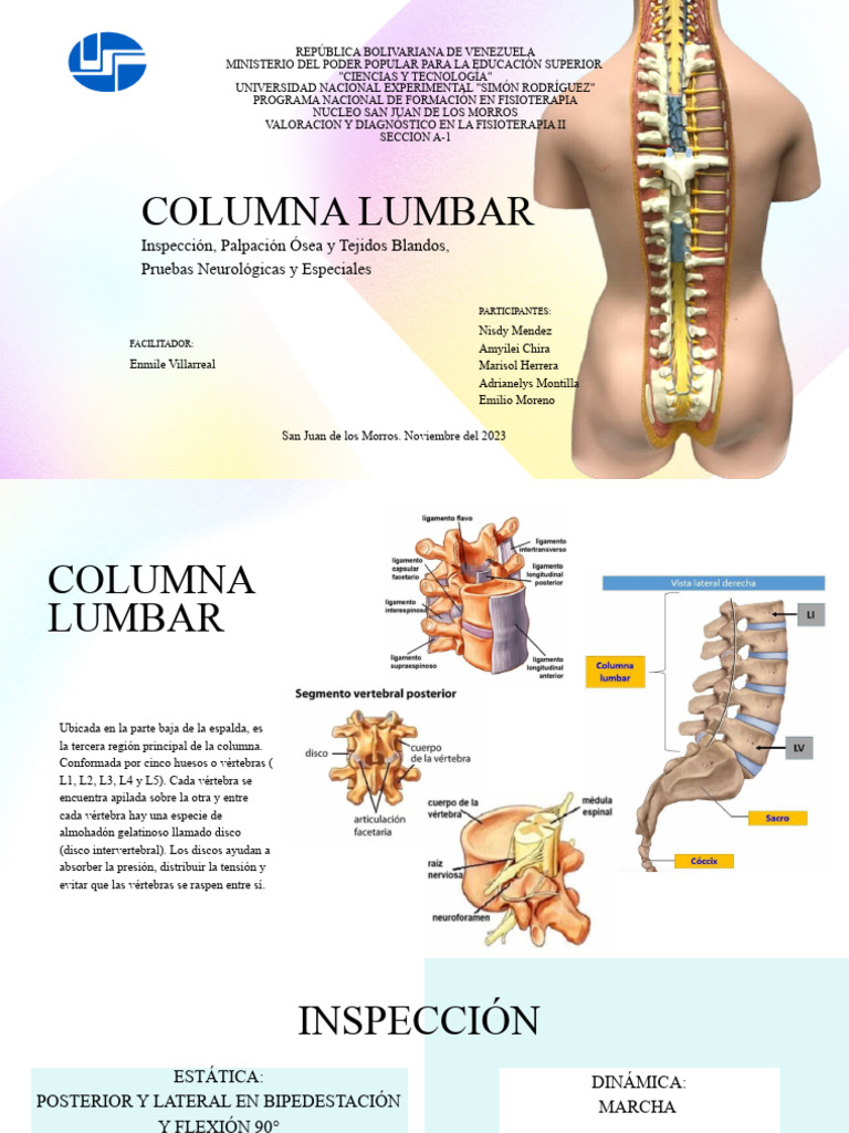 Columna Lumbar Presentación Compatible | PDF | La columna vertebral ...