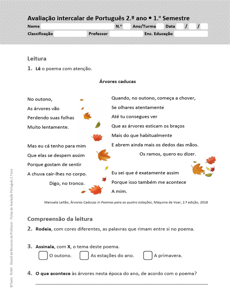 NL PT Ficha Intercalar 1 Semestre 2 Ano | PDF | Árvores | Linguística