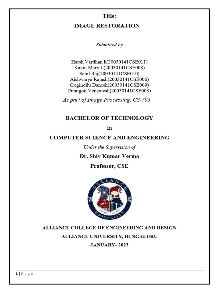 IP Project Report | PDF | Deep Learning | Computer Vision