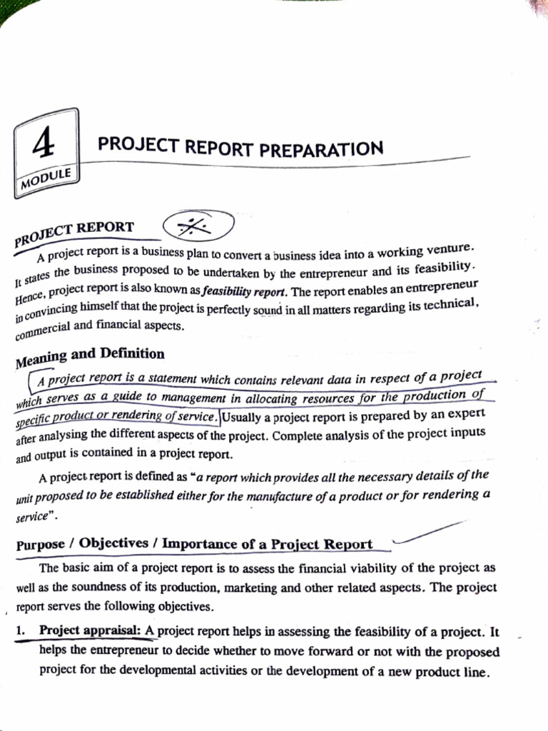 Project Report Preparation | PDF | Business | Economies
