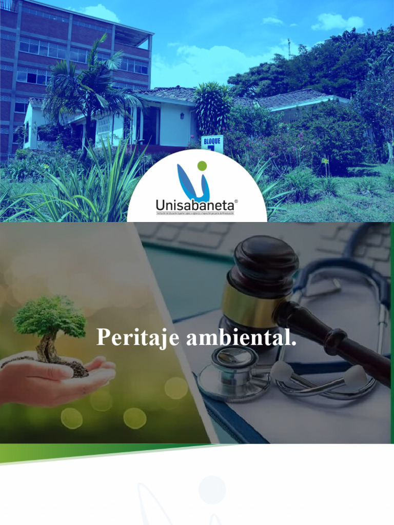 Peritaje Ambiental: Rol y Metodologías | PDF | Testigo experto ...