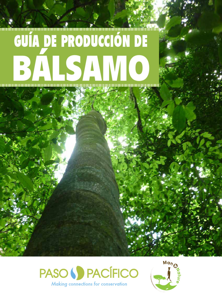 Guía de Producción de Árbol Balsamo | PDF | Siembra | Arboles