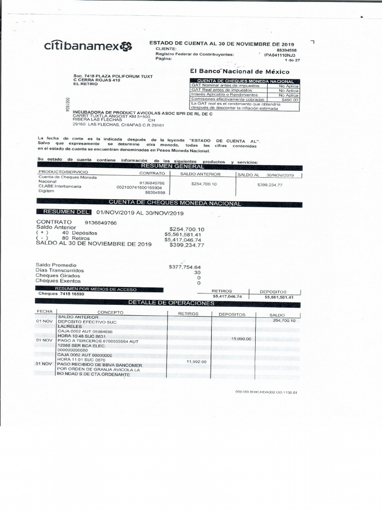 Estado de Cuenta Banamex Noviembre 2019 | PDF