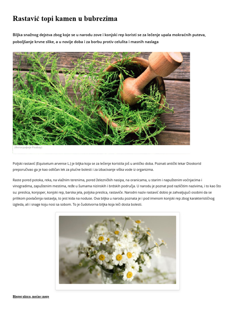 Rastavić Topi Kamen U Bubrezima | PDF