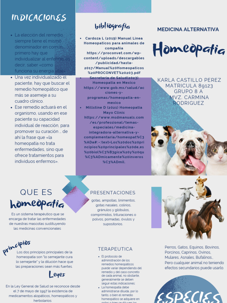 Triptico Lizbeth | PDF | Homeopatía | Medicina