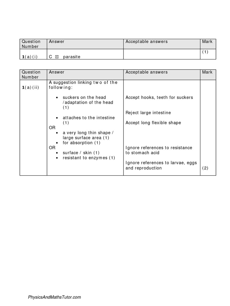 Cycles Within Ecosystems MS | PDF | Carbon Dioxide | Photosynthesis