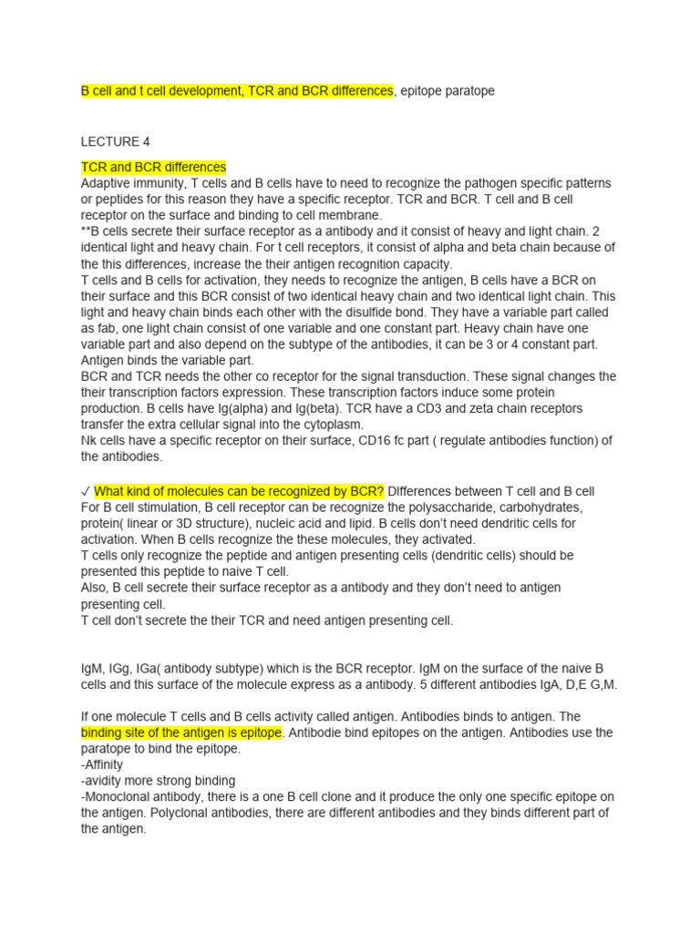 B Cell And T Cell Development Pdf Antibody T Cell