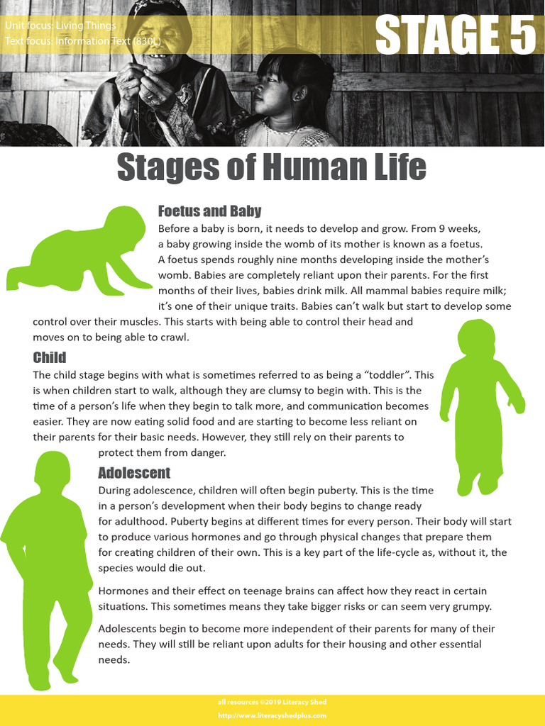 Stages of Human Life Stage 5 Comp - Comprehension | PDF | Adolescence ...
