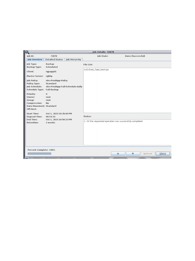 Backup Success | PDF