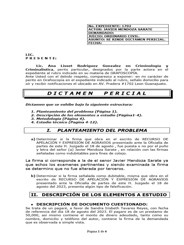 Formato Dictamen | PDF