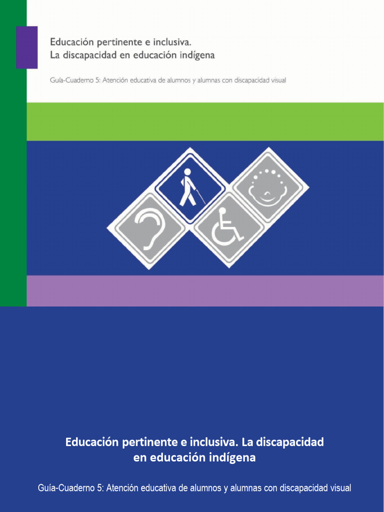 Discapacidad Visual | PDF | Ojo humano | Sistema visual