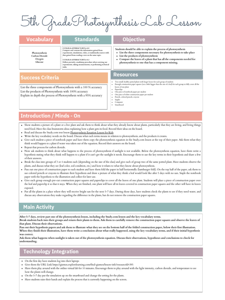 Finalized Photosynthesis Lab | PDF | Photosynthesis | Leaf