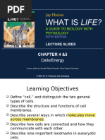 Amoeba Sisters - Video REcap | PDF | Dna | Gene