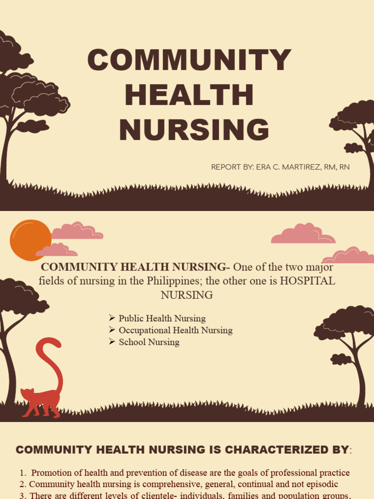 Community Health | PDF | Nursing | Health Care