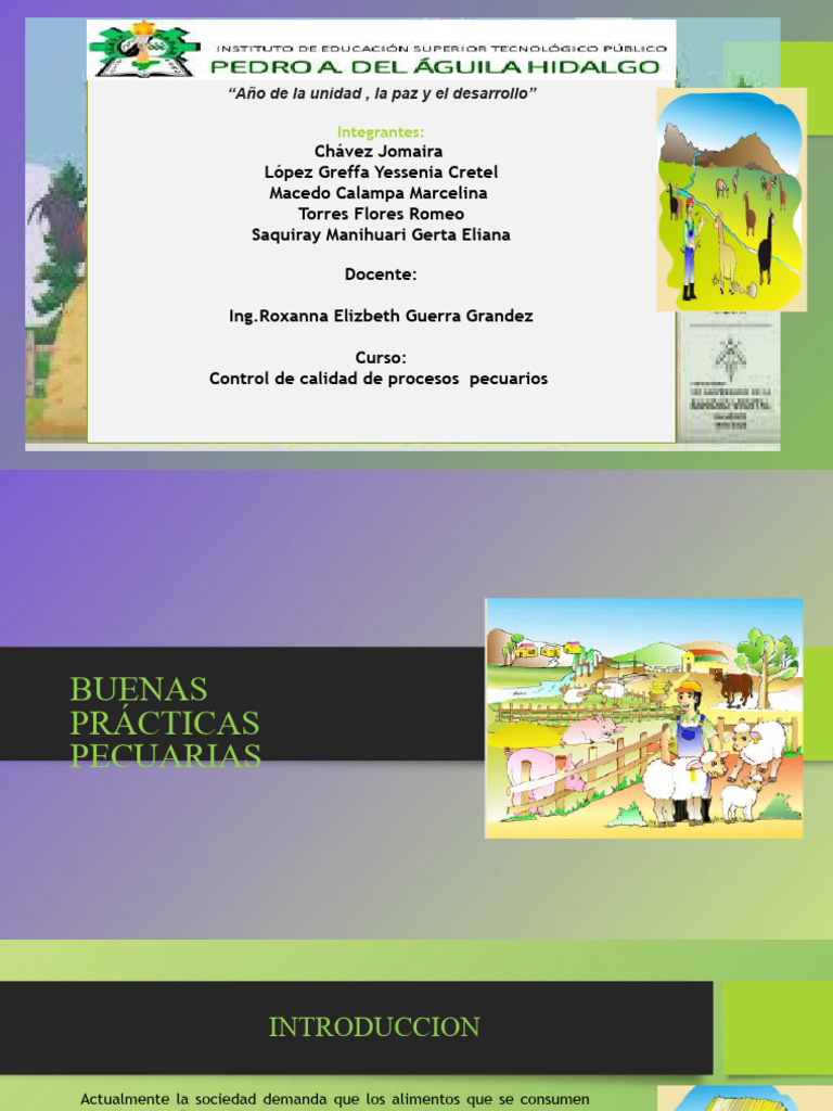 Buenas Prácticas Pecuarias | PDF | Alimentos | Pesticida