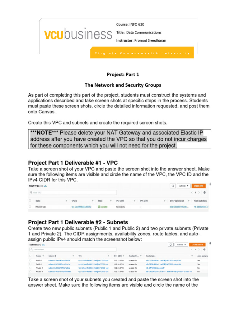 INFO620 Project - Part 1 | PDF | Ip Address | Data Transmission