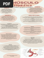 Funciones y Estructura del Sarcolema | PDF | Músculo esquelético ...