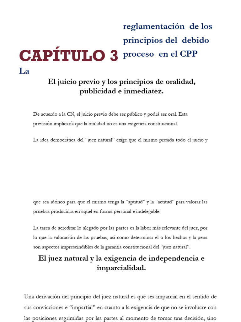 Capítulo 3 - La Reglamentación Del Debido Proceso Penal en El CPP | PDF | Debido al proceso | Juez