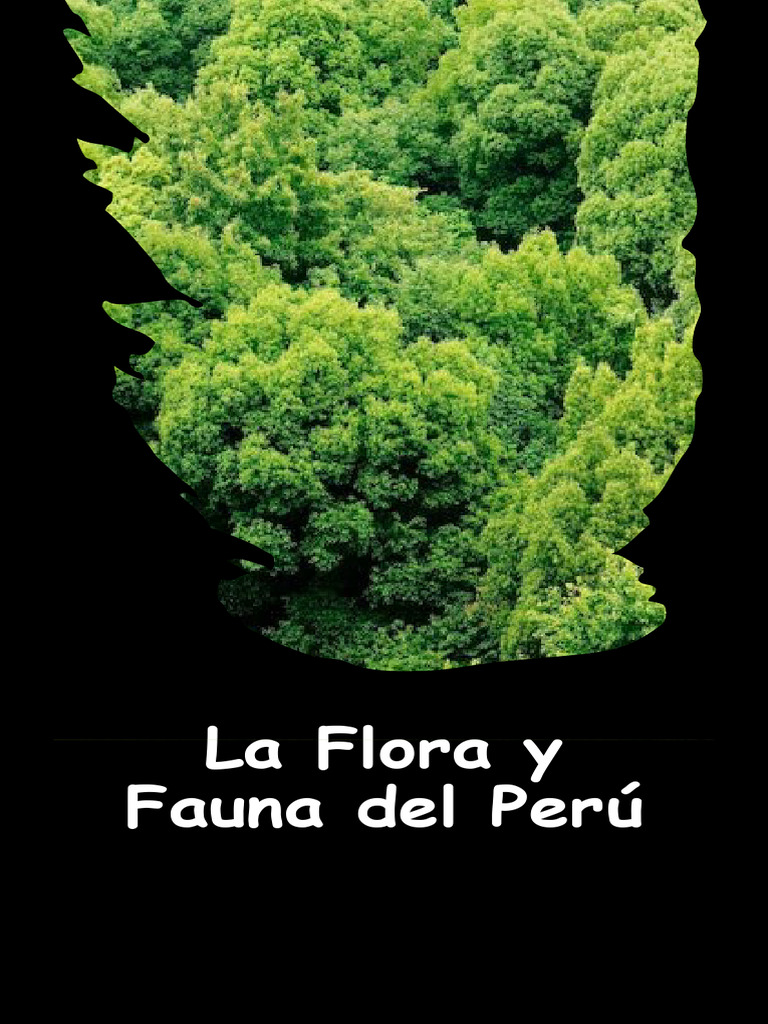 La Flora y Fauna Del Perú | PDF | Perú | Organismos