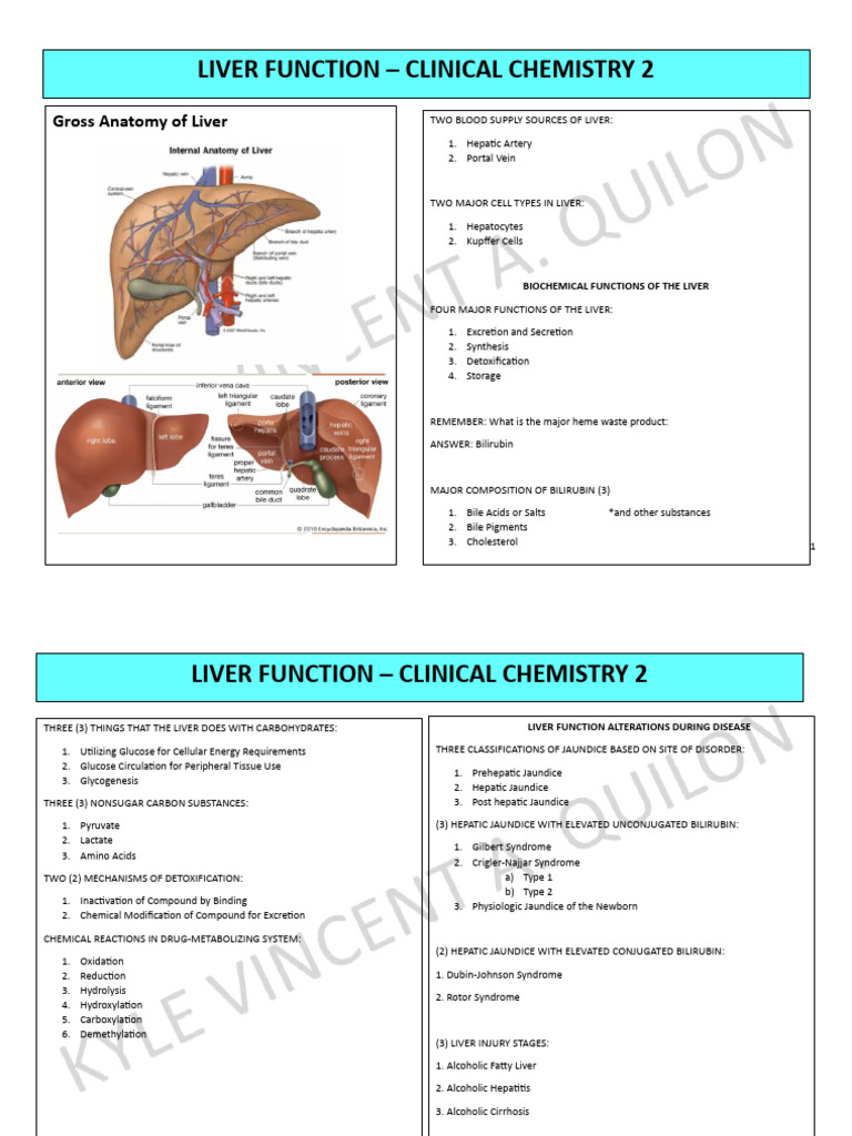 Liver Function Reviewer Cc2 | PDF | Liver | Medical Specialties