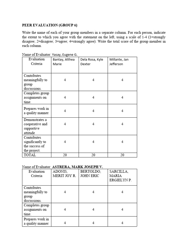 Peer Evaluation Group 6 Bsedmt 2 1 | PDF | Career & Growth | Art