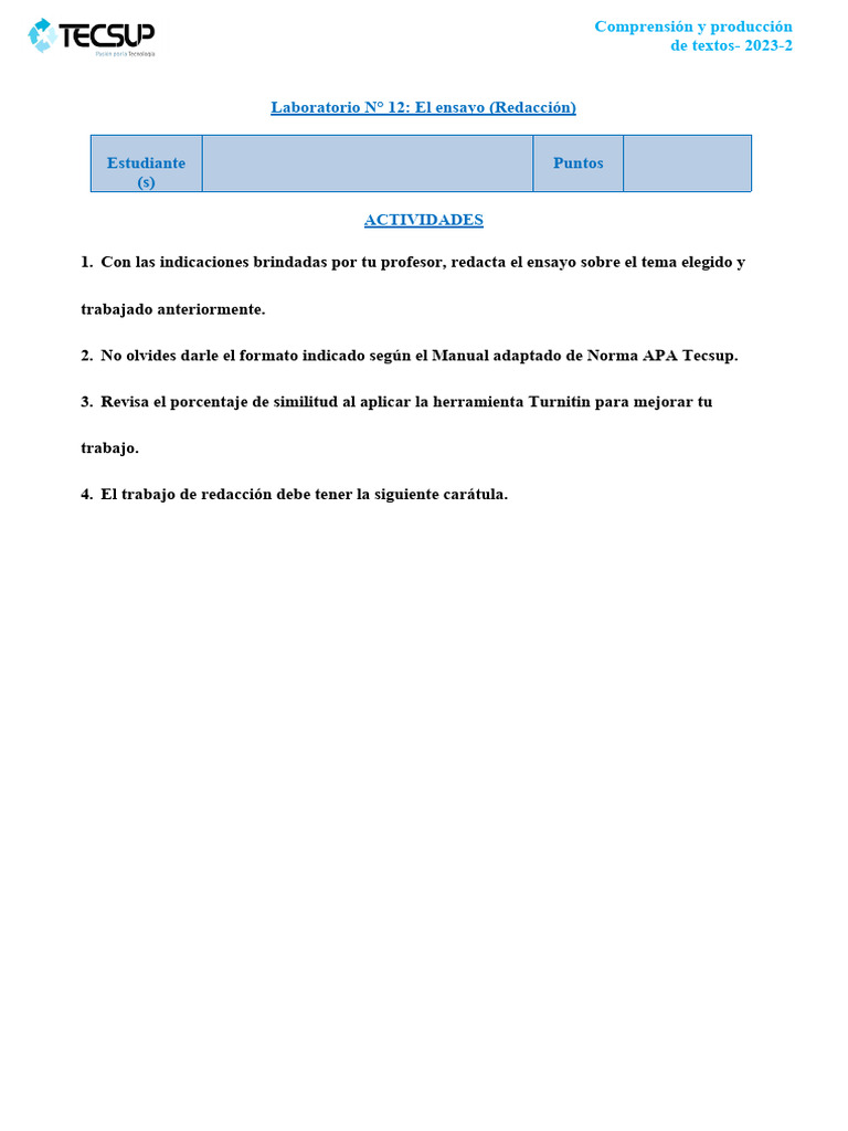 L12- ENSAYO-REDACCIÓN-1 | PDF
