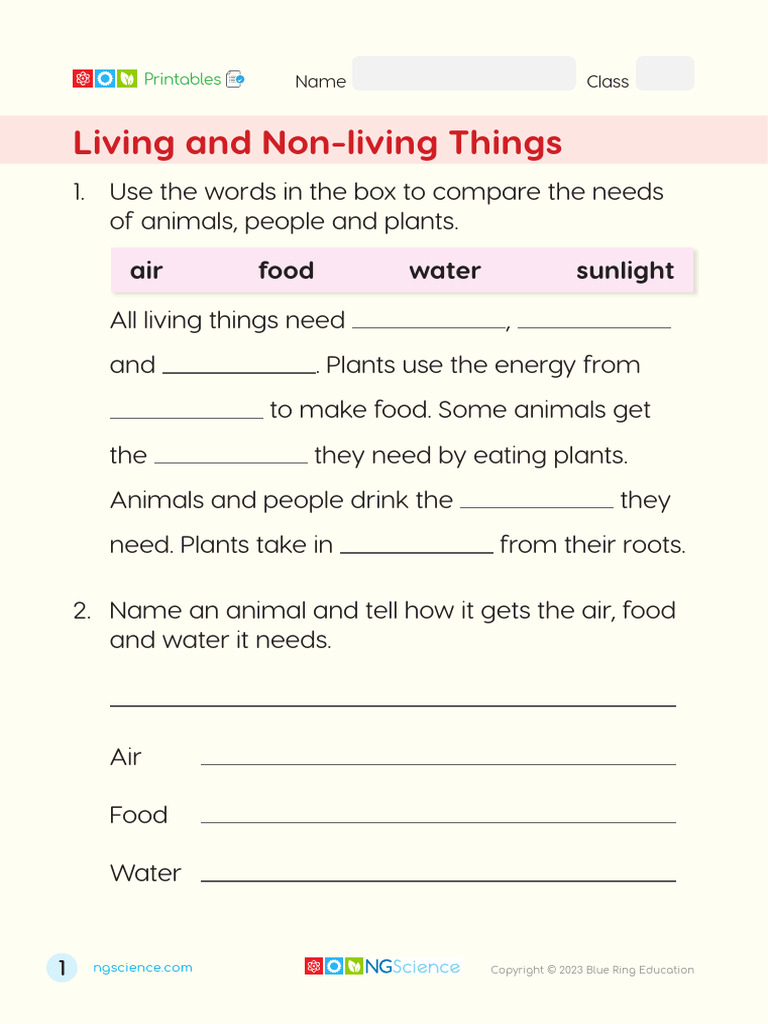 1 NGScience Living and Non Living Things - 11 | PDF | Plants | Water